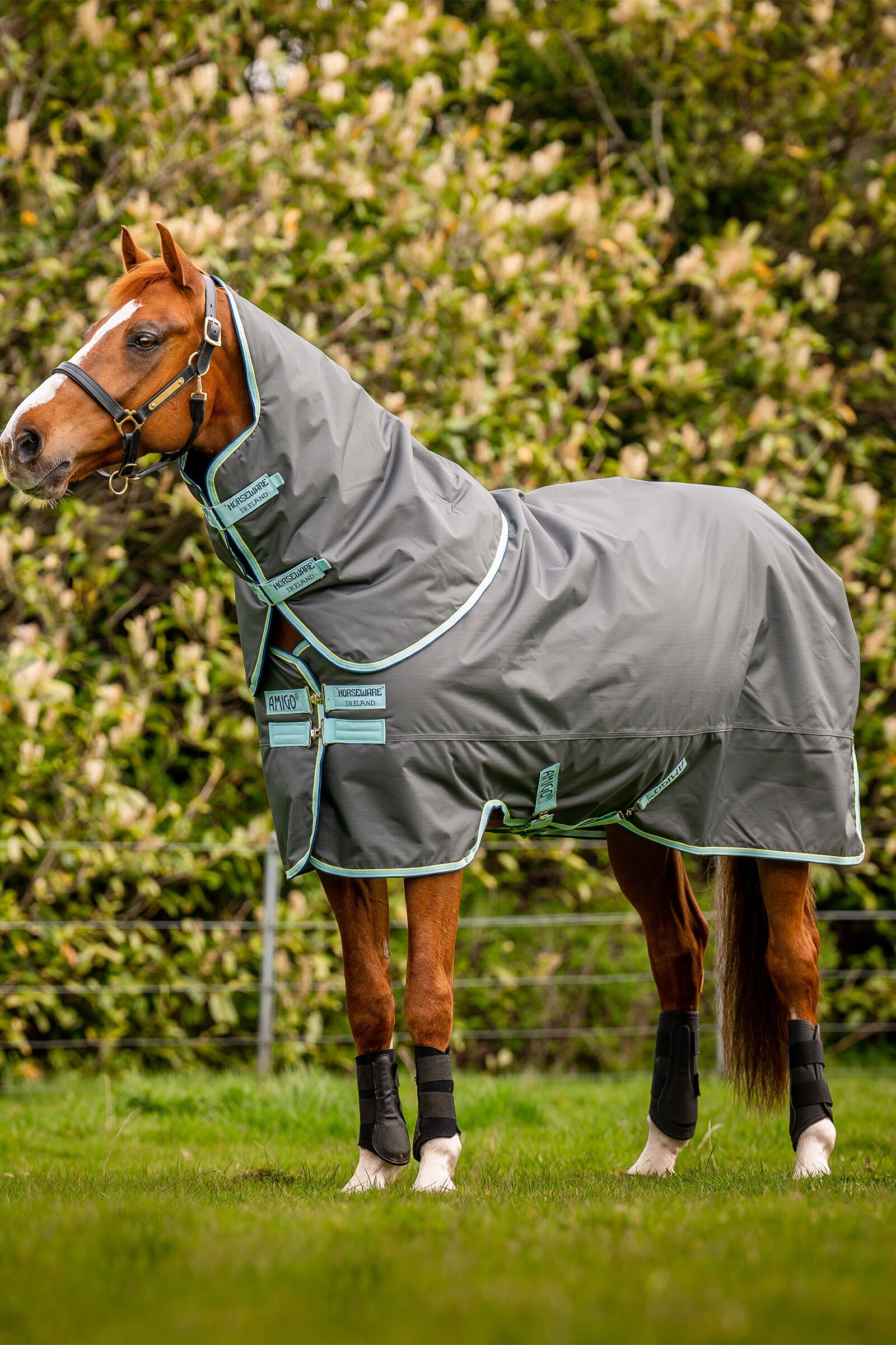 Medium weight turnout rug store
